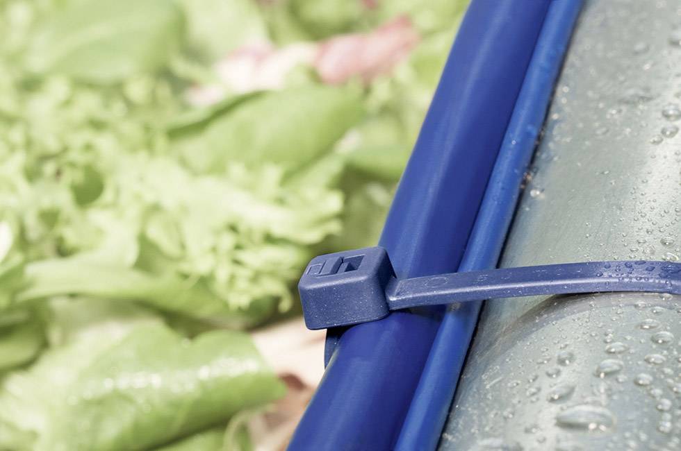 HellermannTyton 111-01386 MCTS200-PPMP BU Kabelbinder 202mm 4.70mm Blau Detektierbar 100St ...