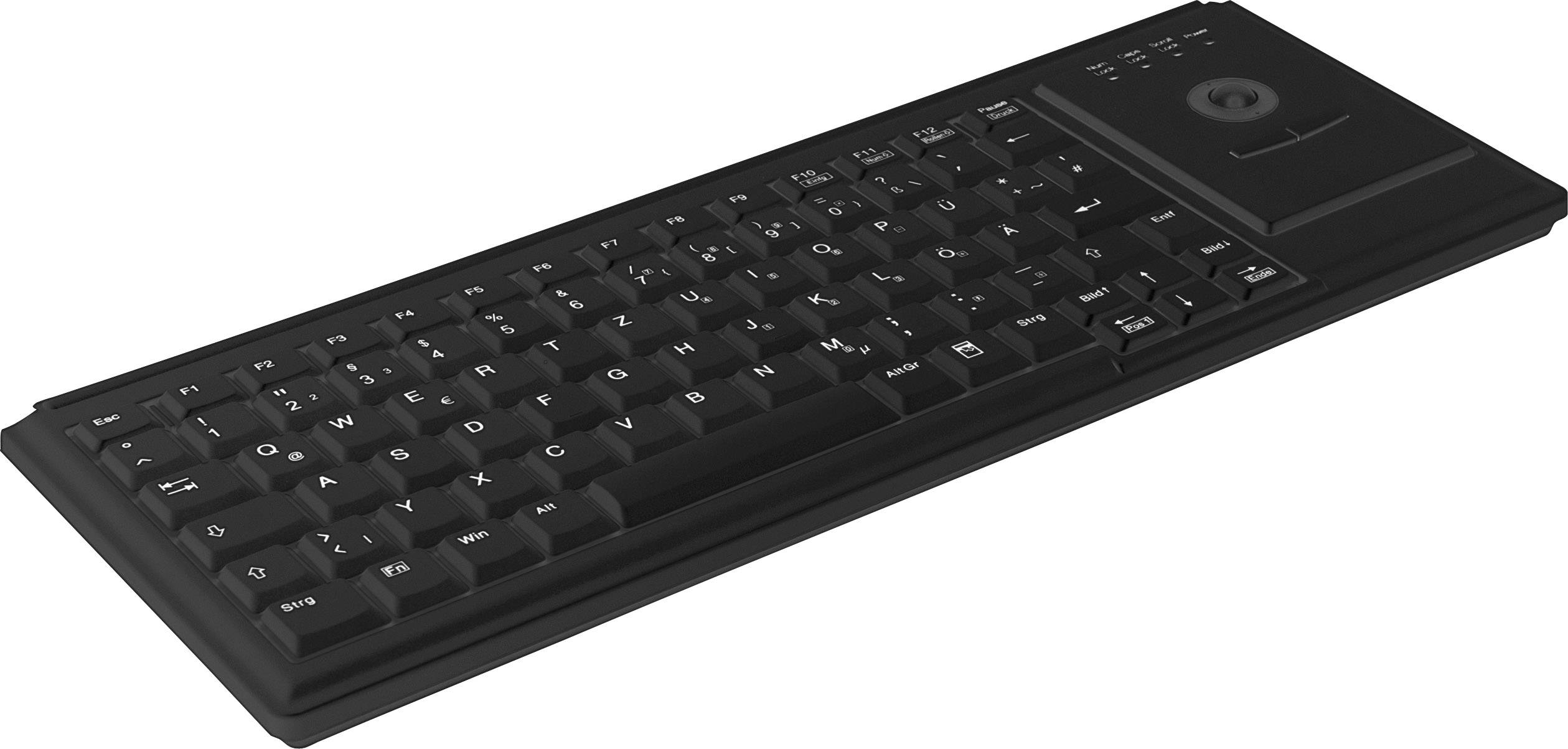 Active Key AK-4400-TU-B/US USB Tastatur US-Englisch, QWERTY Schwarz ...