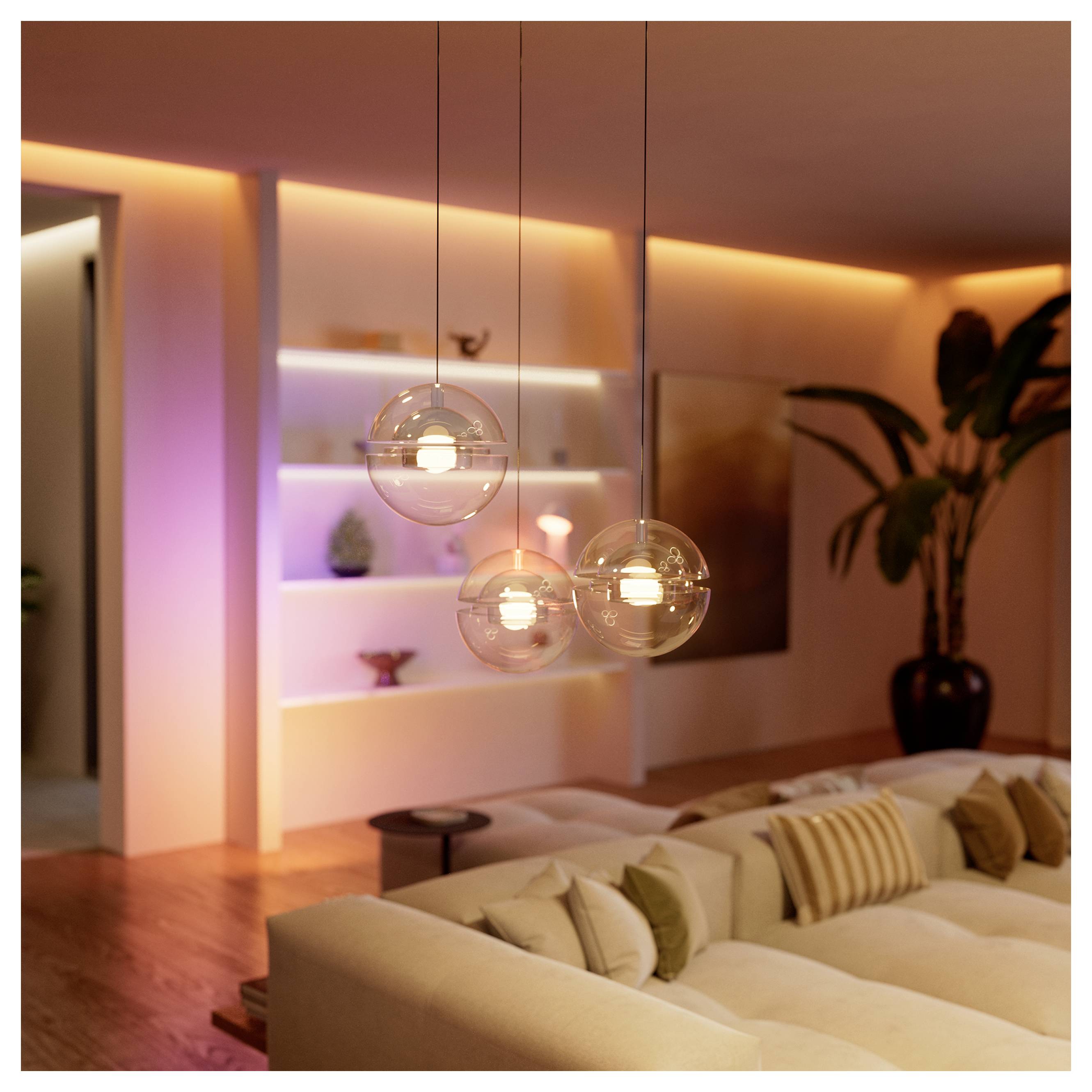 Philips Hue Wandschalter, Modul 2 Kanal/2C (6A/ 400W LED/ 1.380W ...
