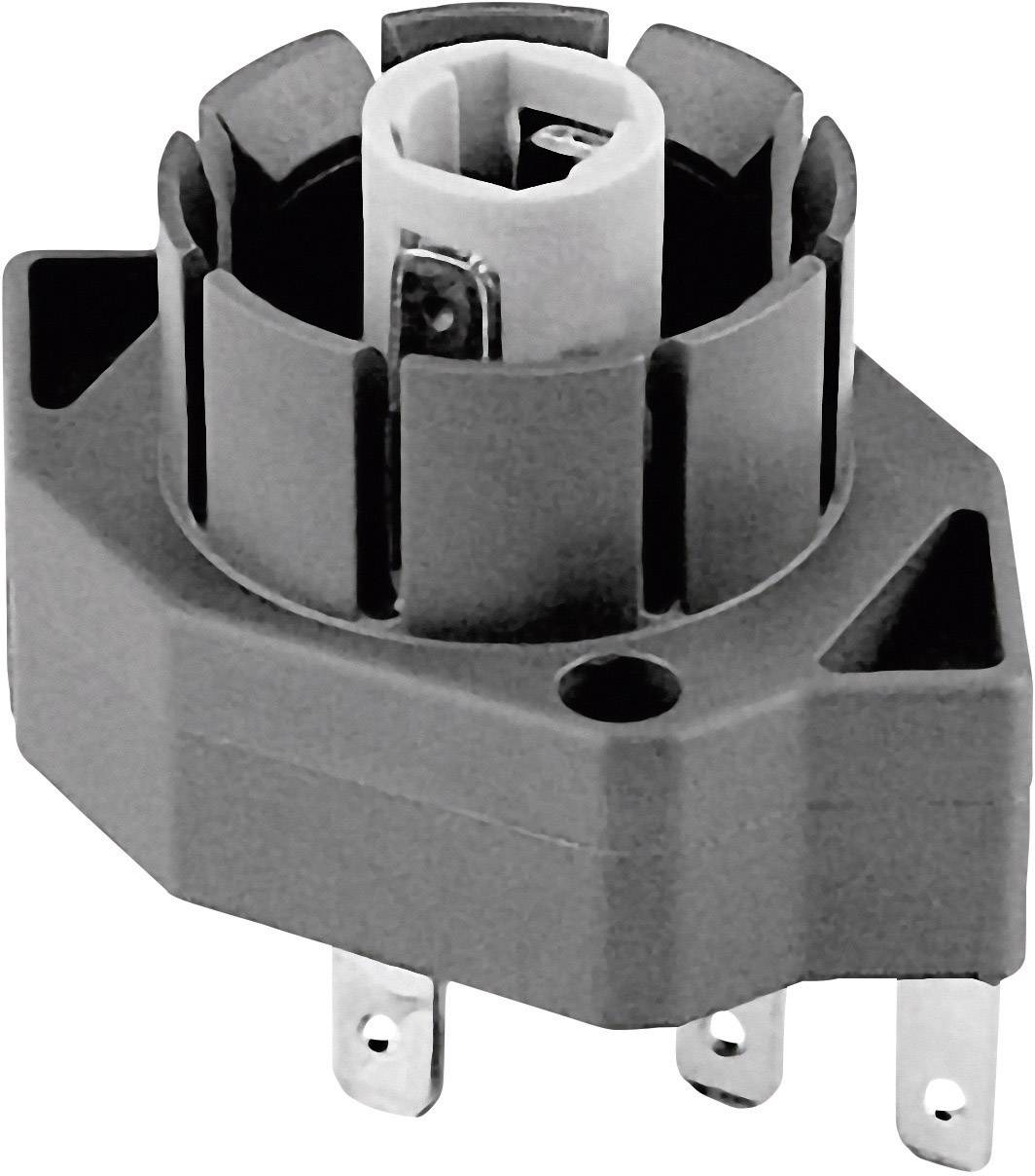 Schlegel CTL2_549 Kontaktelement 1 Wechsler 48V DC/AC 10St. | voelkner