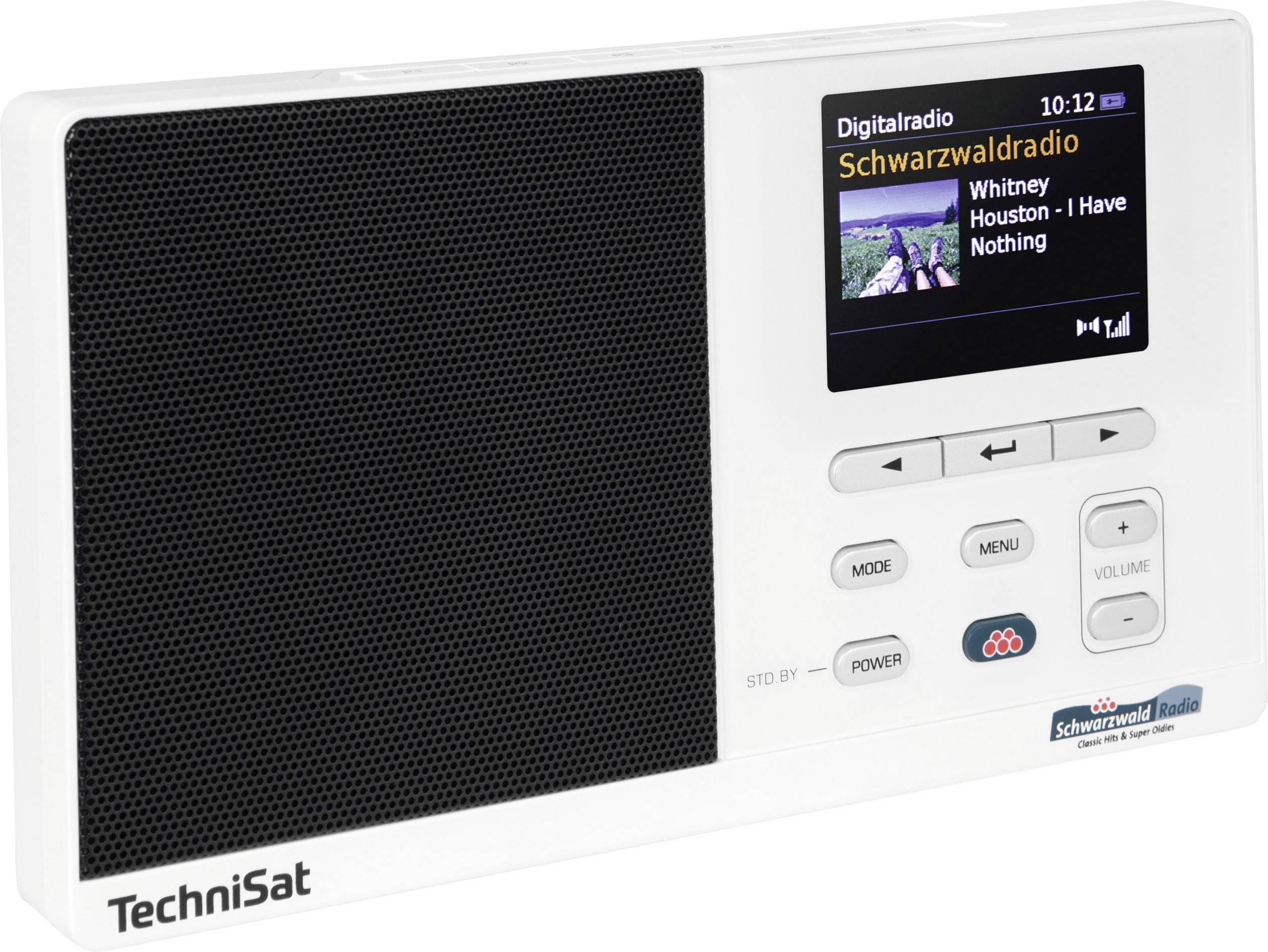 TechniSat DigitRadio 215 Schwarzwaldradio-Edition Kofferradio DAB+, UKW ...