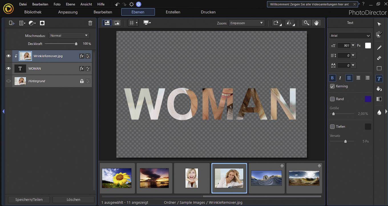 Cyberlink PhotoDirector 11 Ultra Vollversion, 1 Lizenz Windows ...